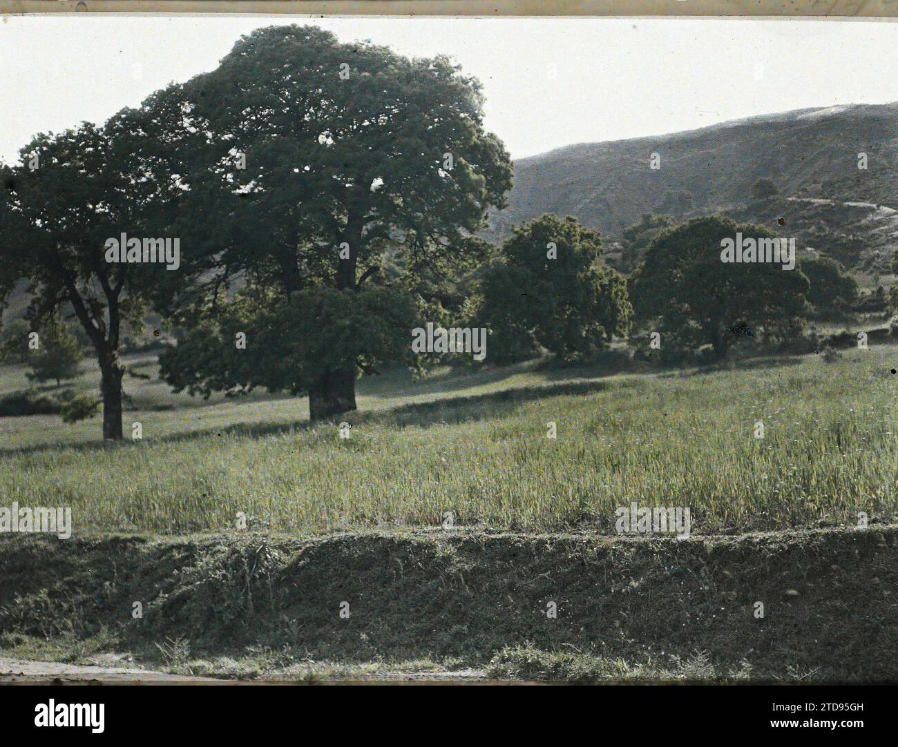 Ohrid plain hi-res stock photography and images - Alamy