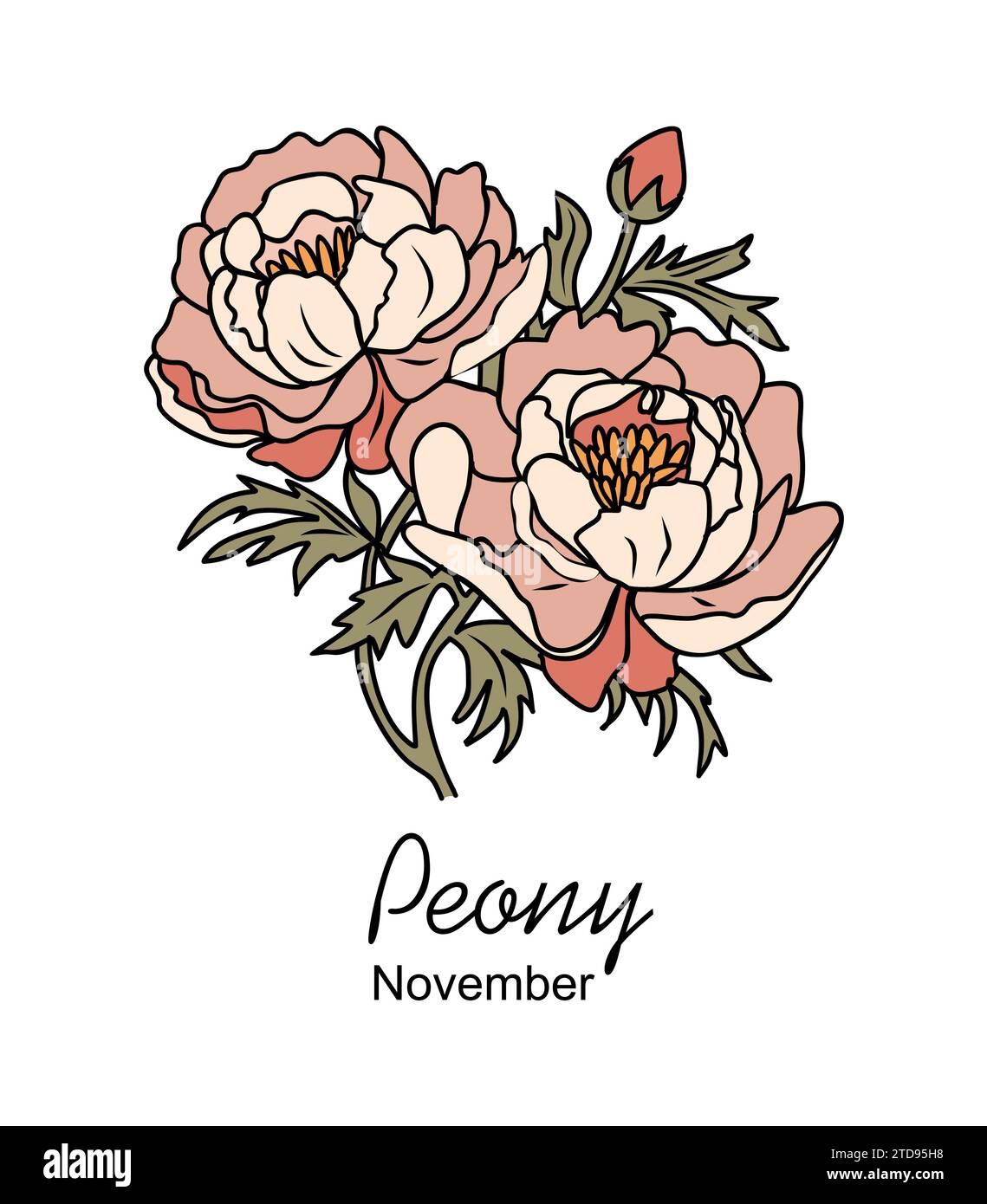 Peony, November birth month flower vector art Stock Vector Image & Art ...