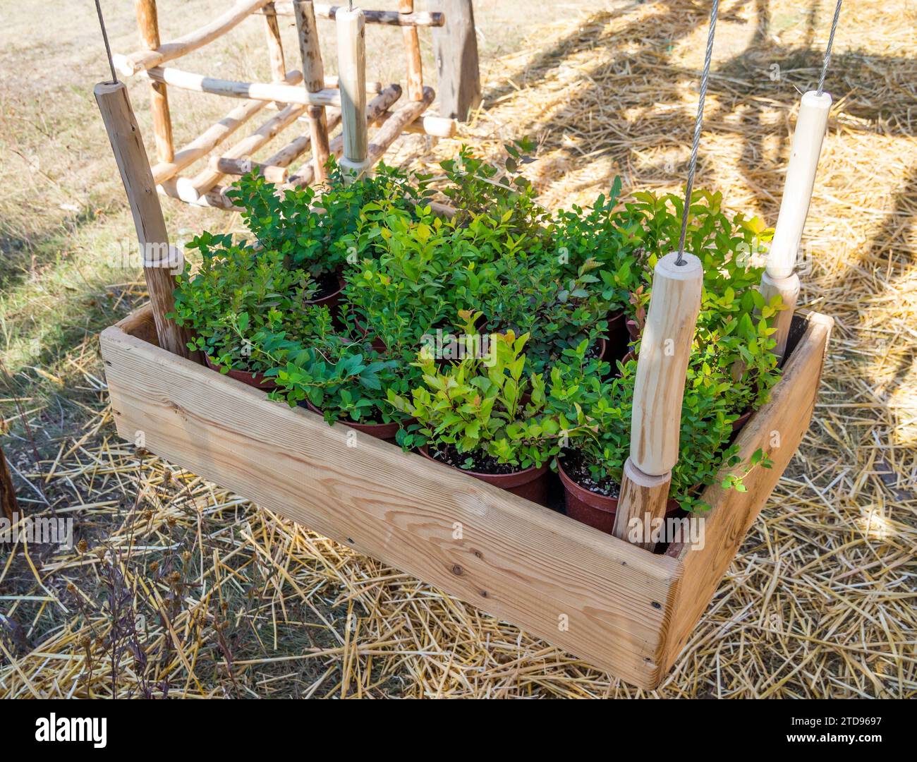 Hanging box for flower pots Stock Photo - Alamy