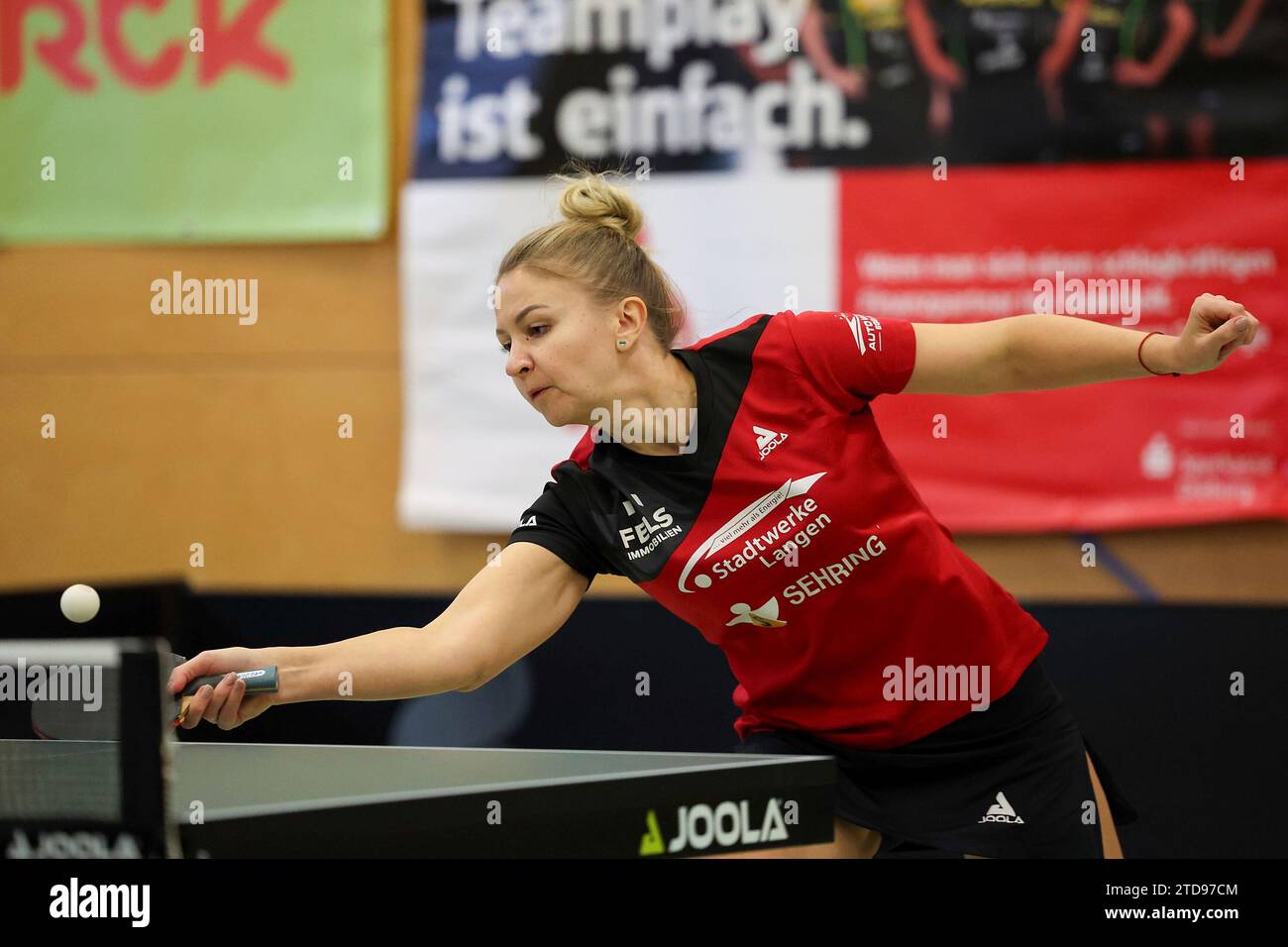 Langstadt, Deutschland. 17th Dec, 2023. Langstadt, Babenhausen 17.12. ...