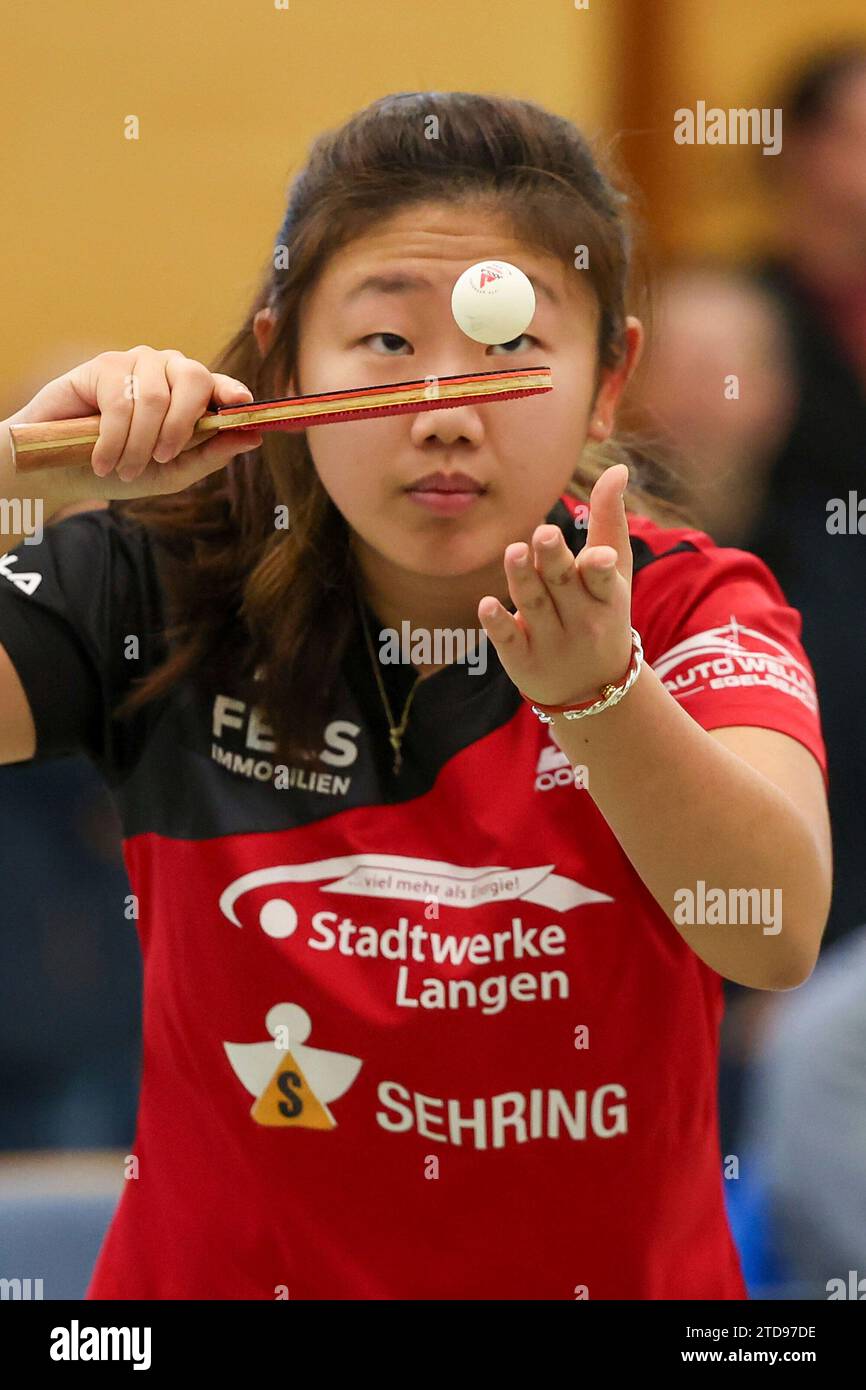 Langstadt, Deutschland. 17th Dec, 2023. Langstadt, Babenhausen 17.12. ...
