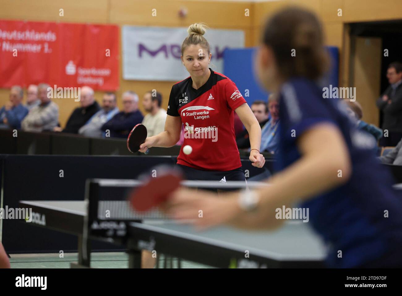 Langstadt, Deutschland. 17th Dec, 2023. Langstadt, Babenhausen 17.12. ...