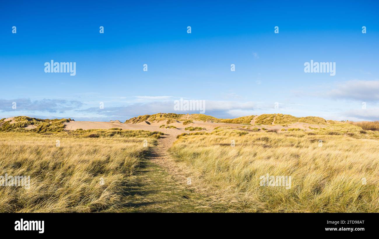 A multi image panorama of the clear blue sky above the tall sand dunes ...