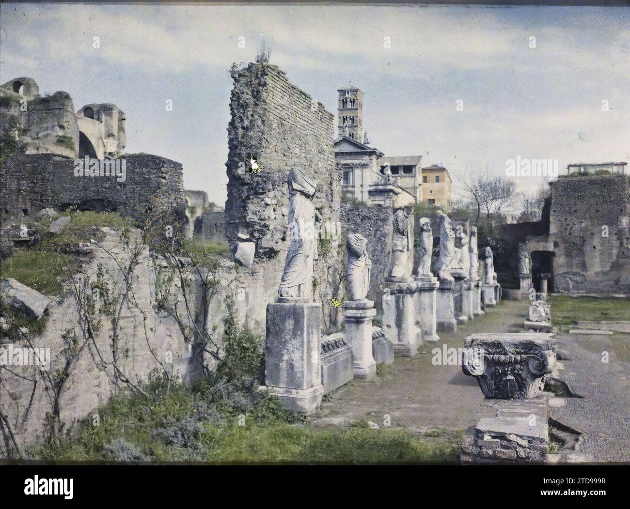 Rome, Italy Atrium of the Temple of Vesta (?), Habitat, Architecture ...