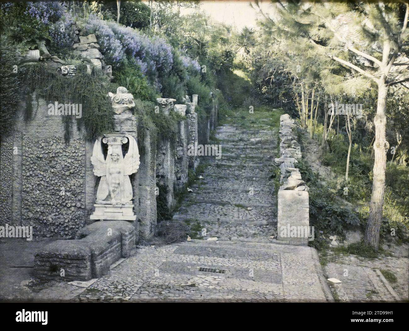 Rome, Italy, Habitat, Architecture, Art, Nature, Environment, Statue ...