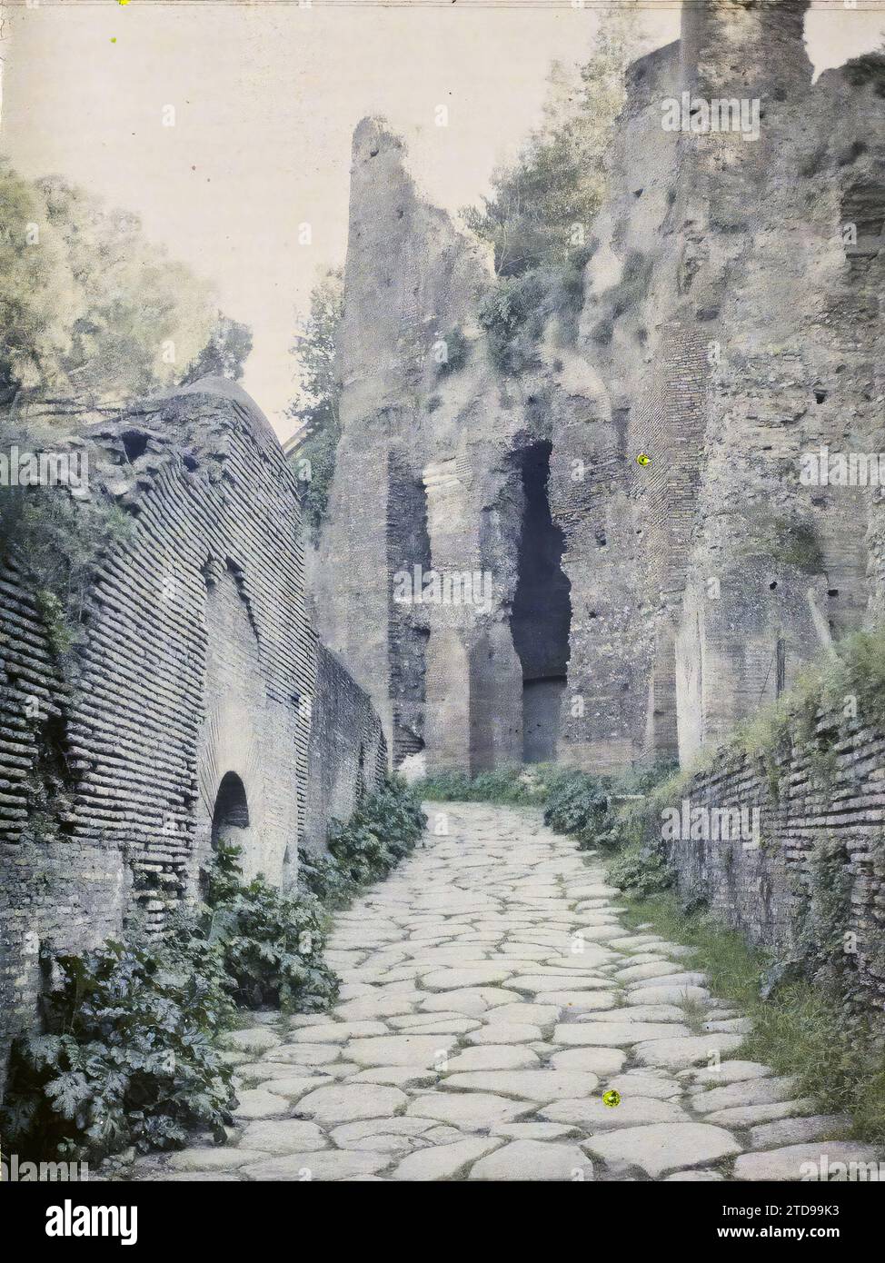 Rome, Italy, Habitat, Architecture, Art, Mount, mountain ...