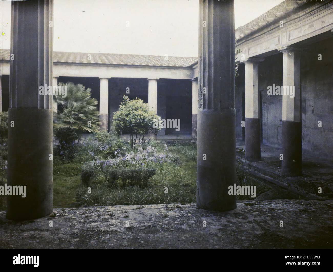 Pompeii, Italy Atrium of the house of the silver wedding, Habitat ...