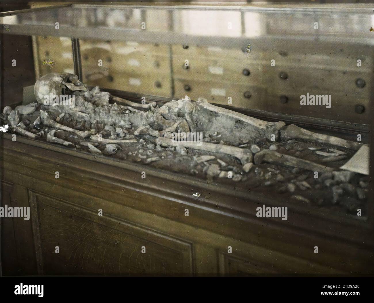 Ethnology anthropology museum woman corpse skeleton prehistory hi-res ...