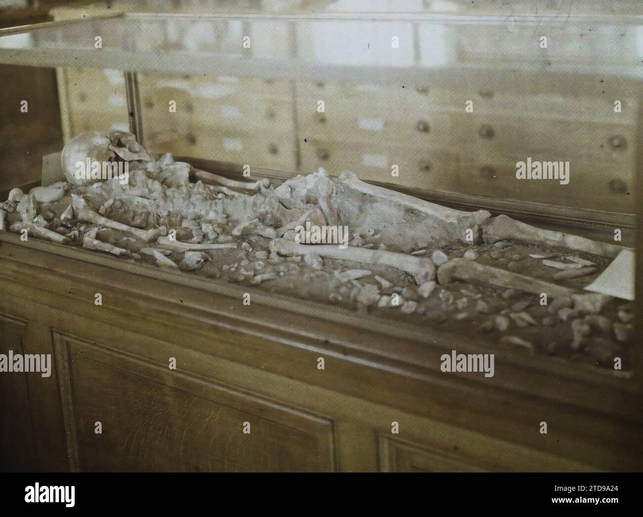 Ethnology anthropology museum woman corpse skeleton prehistory hi-res ...