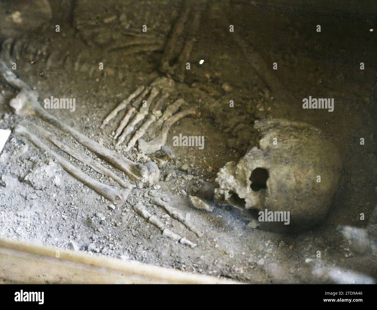 Barma grande cave skeleton hi-res stock photography and images - Alamy
