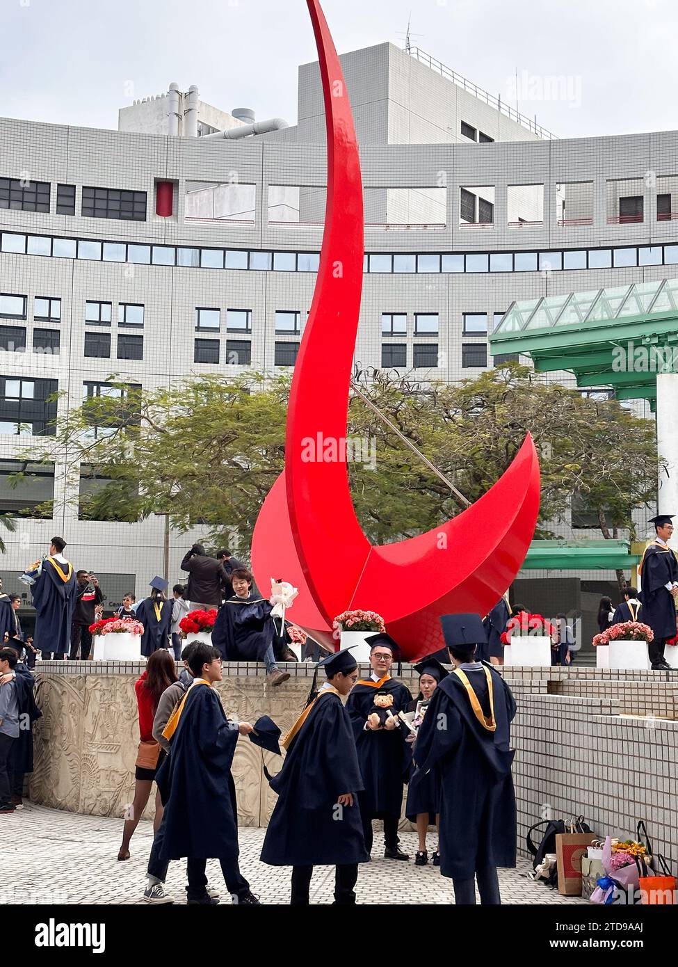 3 12 2023 Happy fresh graduate students in Academic dress gown and ...