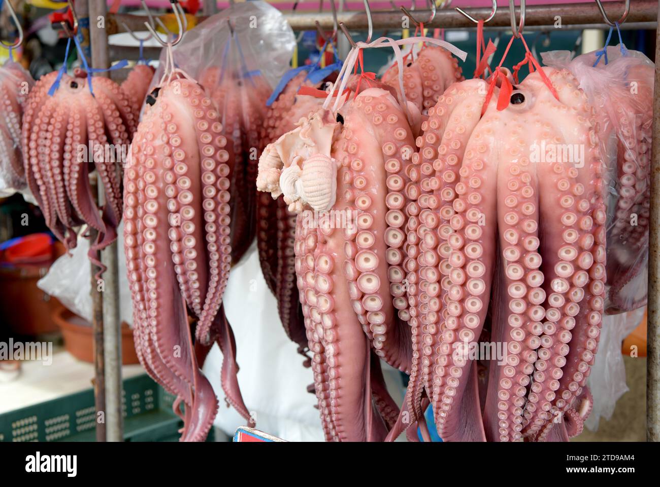 Seafood at the fish market in Korea Stock Photo - Alamy