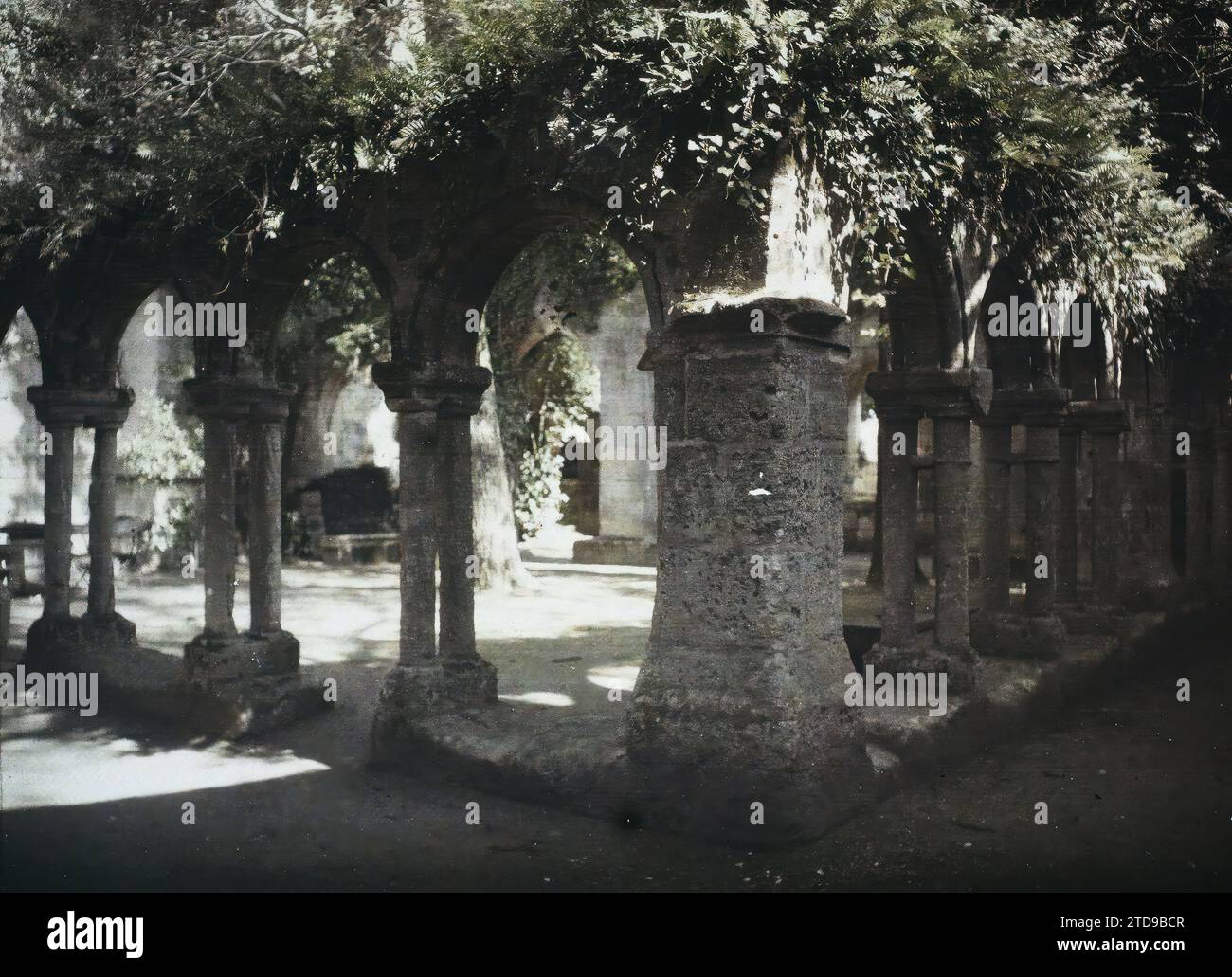 Saint-Émilion, France, Religion, Habitat, Architecture, Art ...