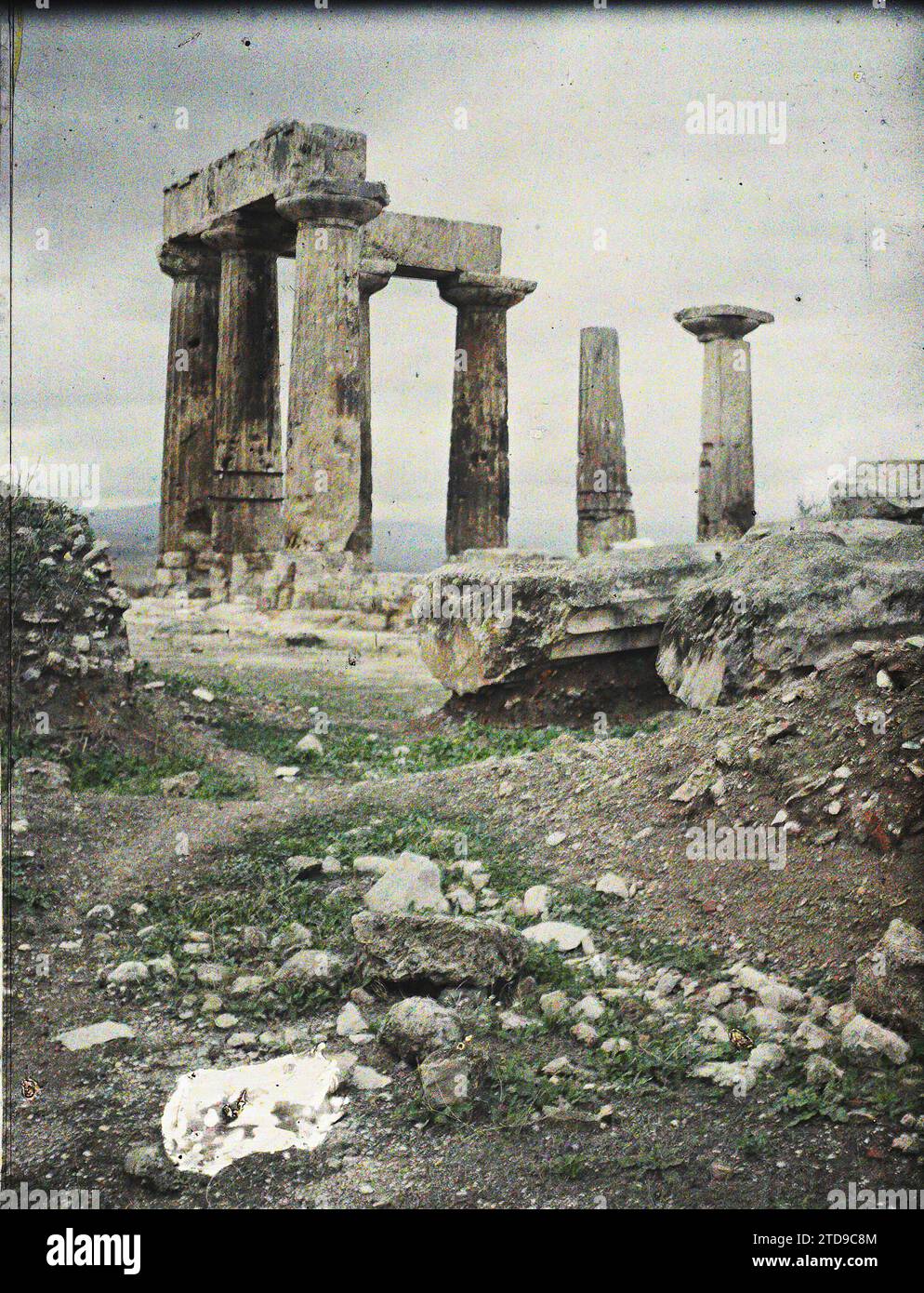 Corinth, Greece Columns of the Temple of Apollo, Habitat, Architecture ...