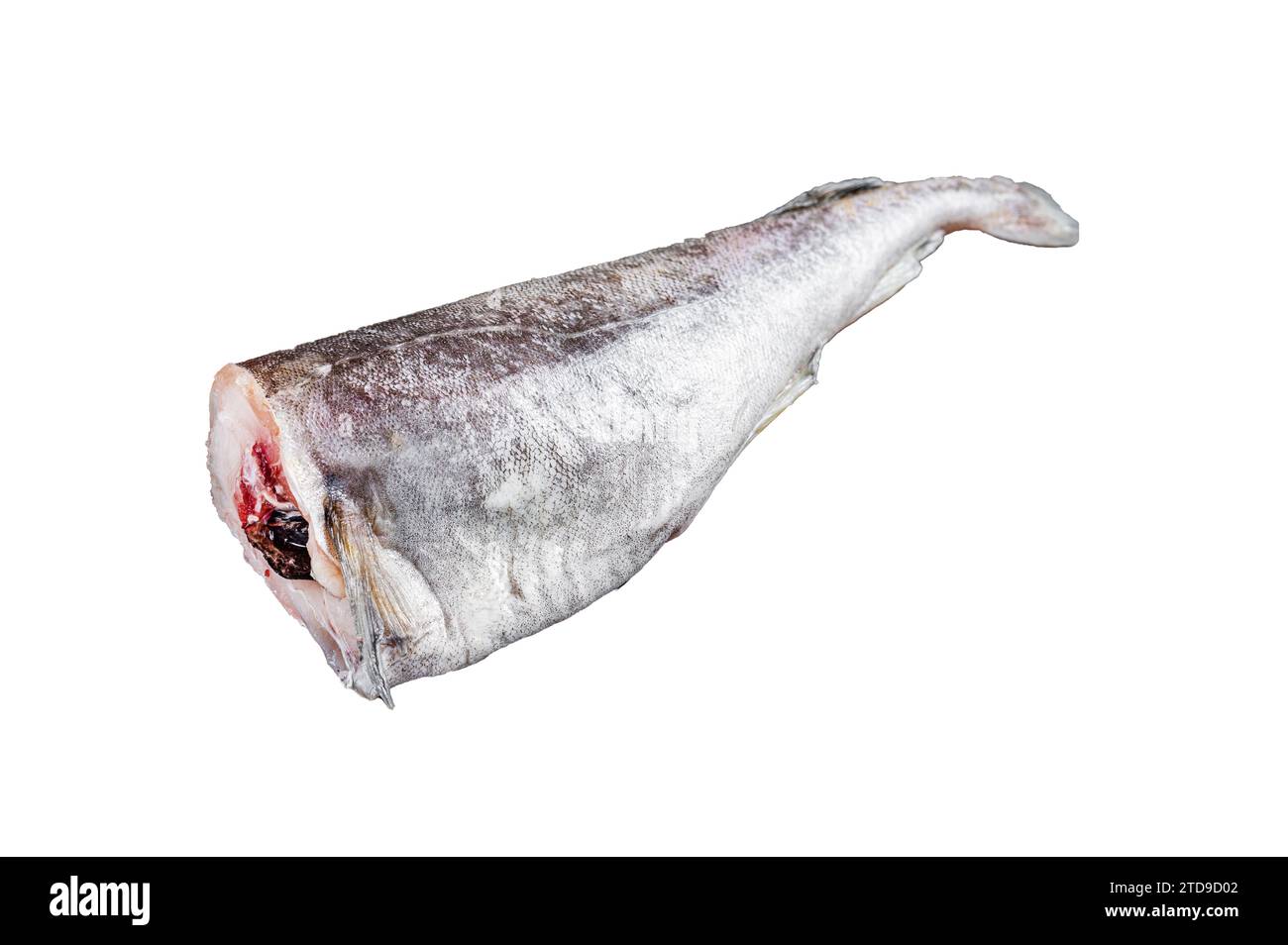 Uncooked Raw cod whole fish on marble board with thyme. Isolated on ...