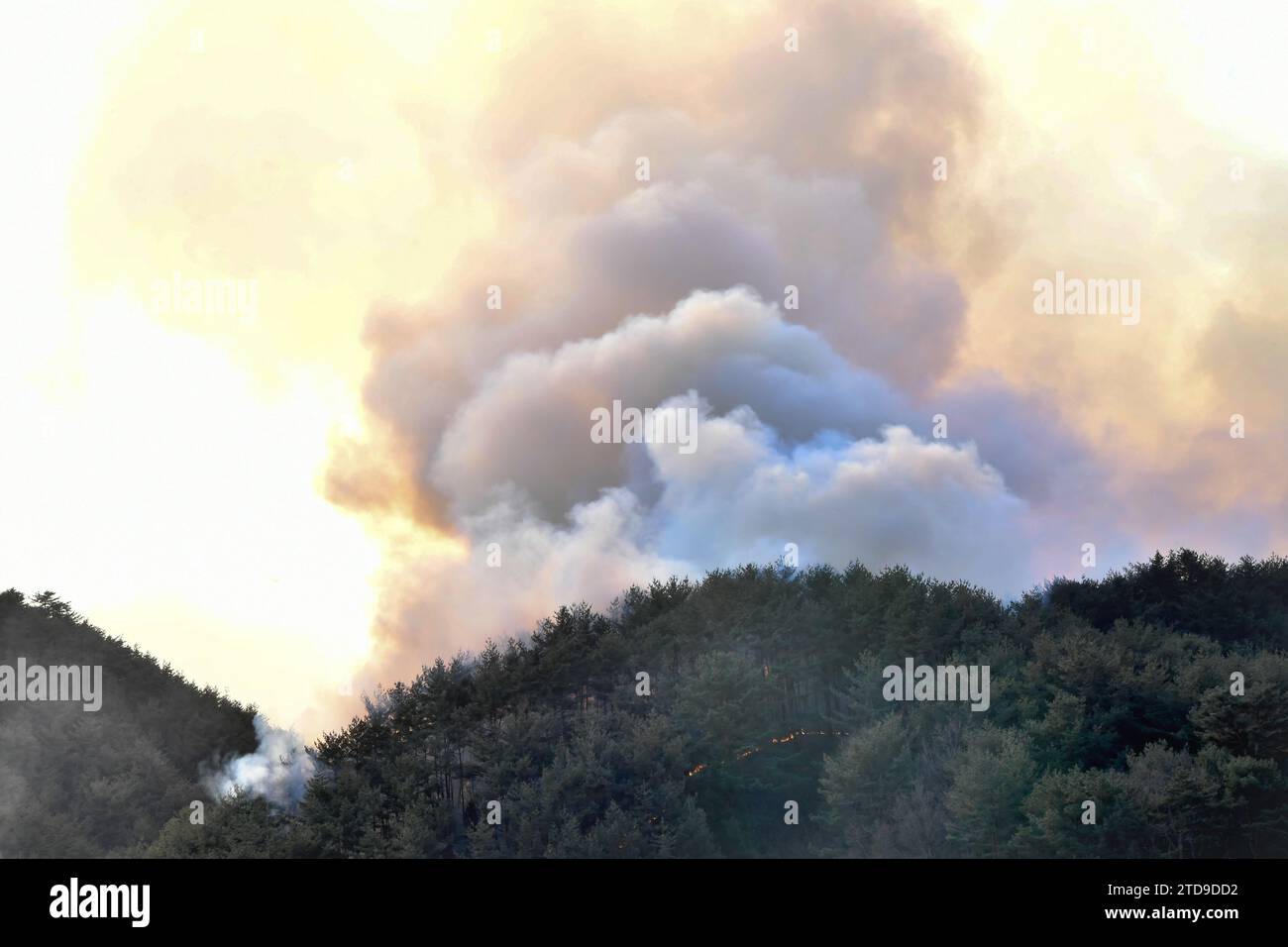A house burned down in a forest fire in South Korea in early 2022 Stock ...