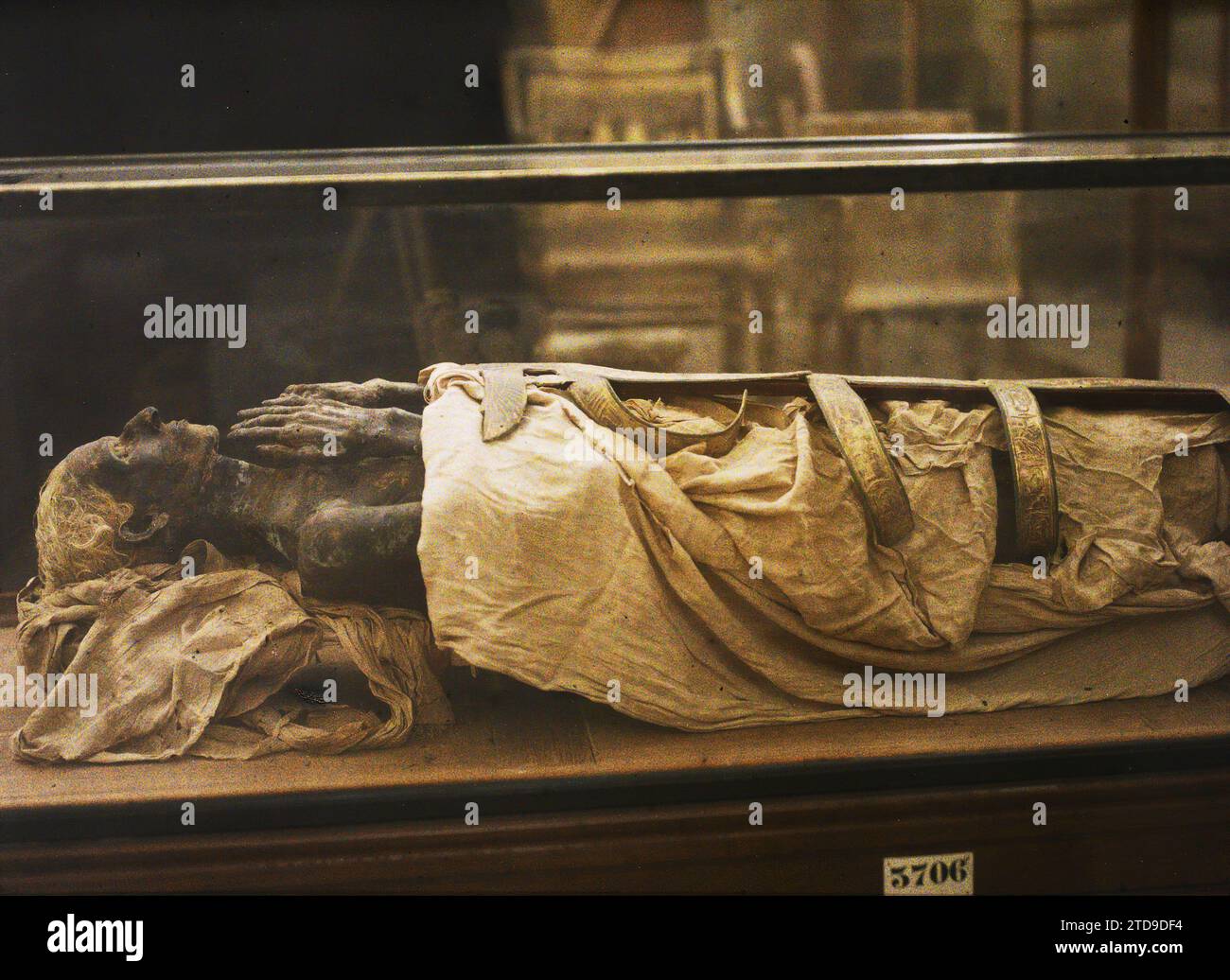 Cairo, Egypt, Africa Mummy in a showcase of the Egyptian Museum in ...