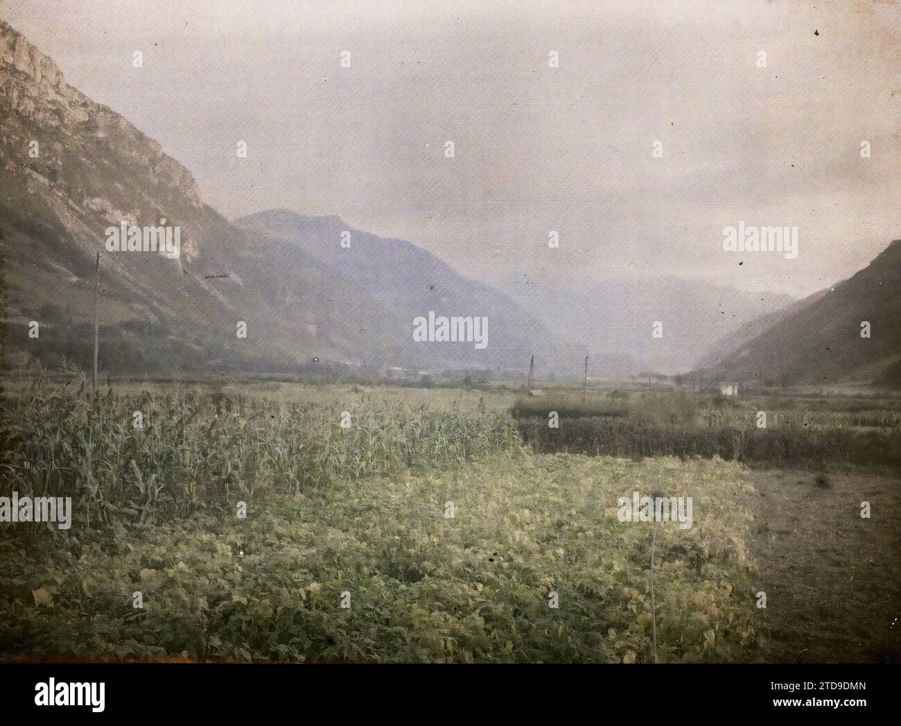 Ossau Valley, Basses-Pyrénées, France, Nature, Environment, Economic ...