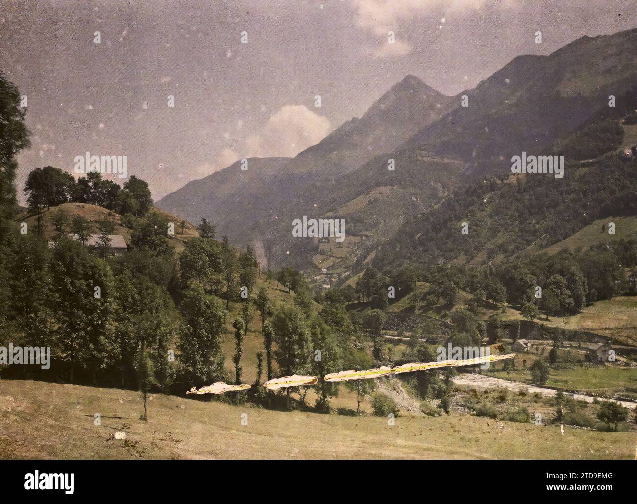 Le nipple vert hi-res stock photography and images - Alamy