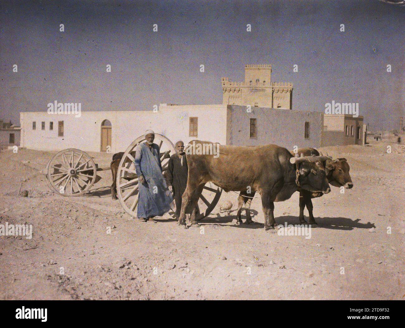 Cairo, Egypt, Africa Men and their cart, Transport, Animal, Clothing ...