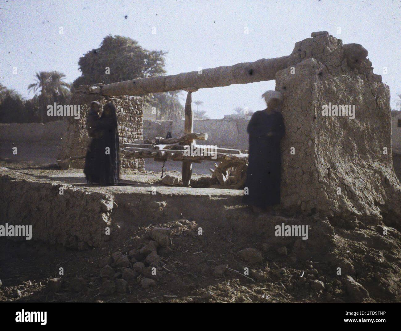 Louqsor, Egypt, Africa Wooden sakkieh, Human beings, Habitat ...