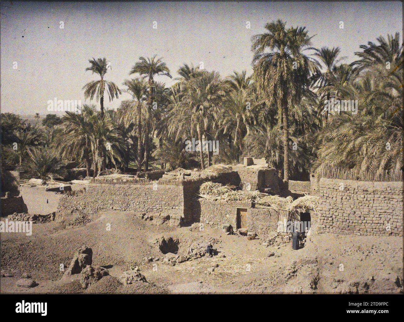 Luxor, Egypt, Africa The village in front of the palm grove, Nature ...