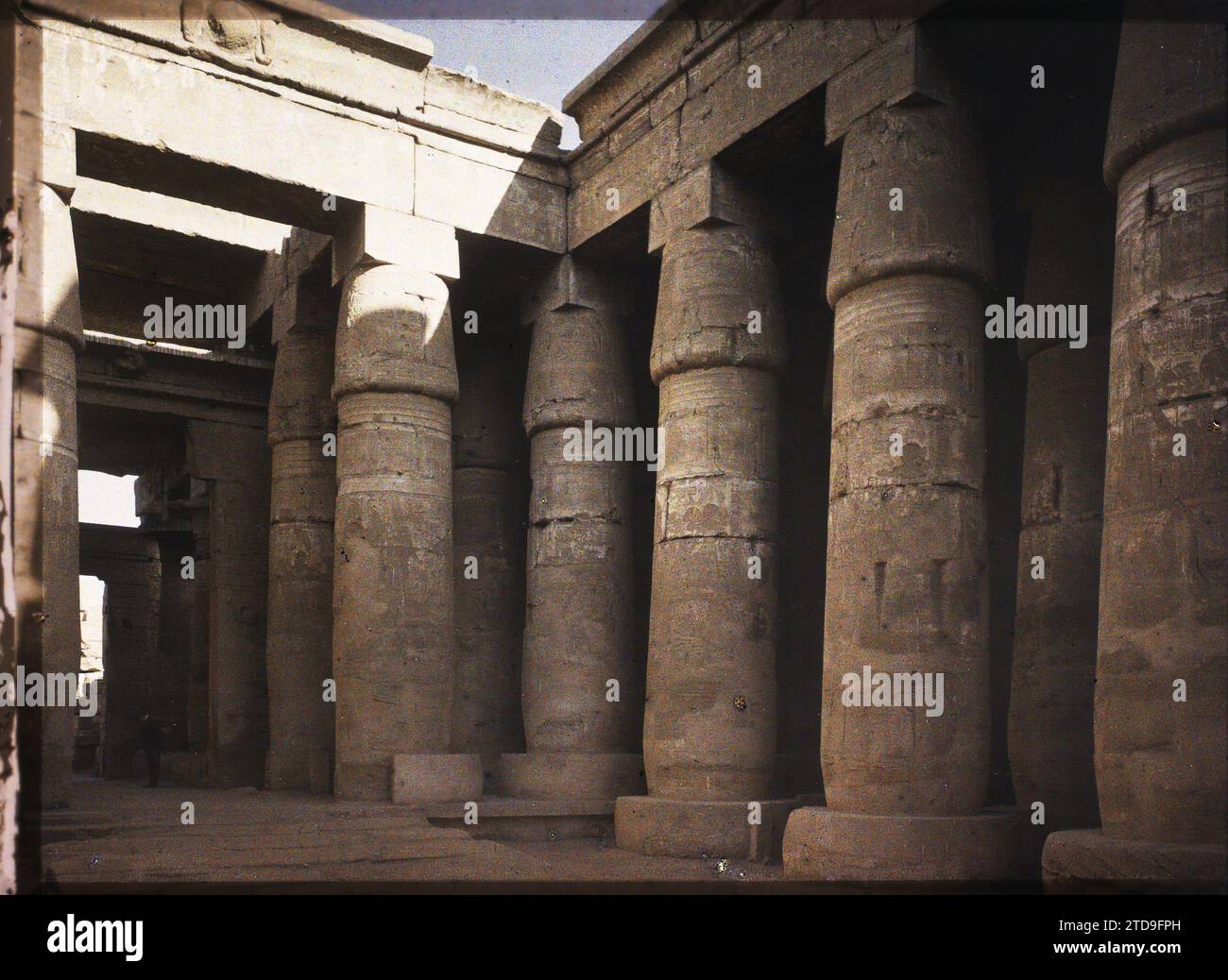 Temple archaeological vestige column egyptian polytheism habitat hi-res ...