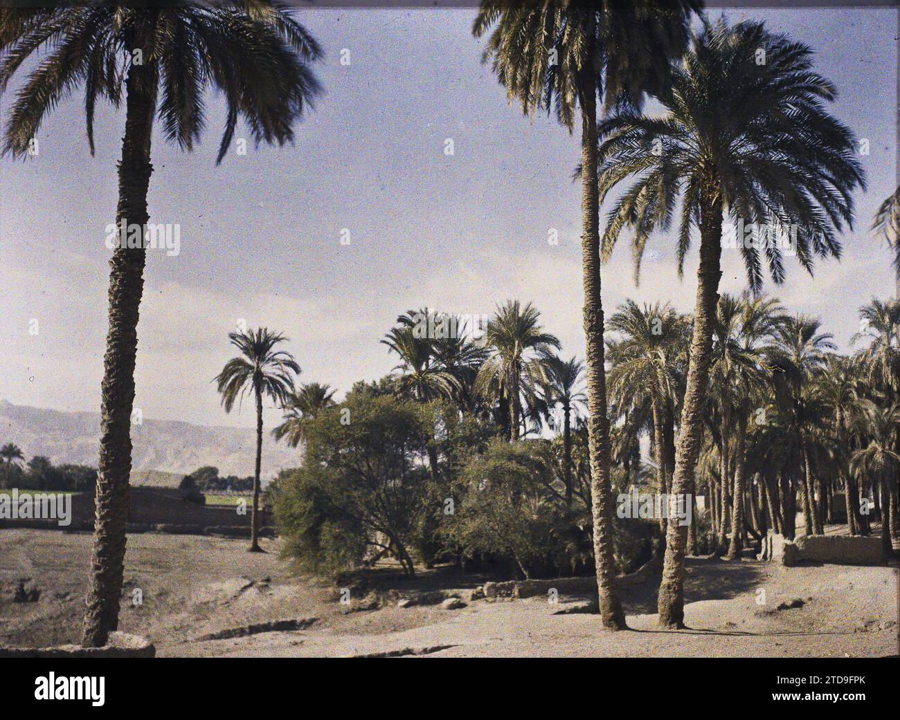 Luxor, Egypt, Africa Countryside landscape, Nature, Environment ...