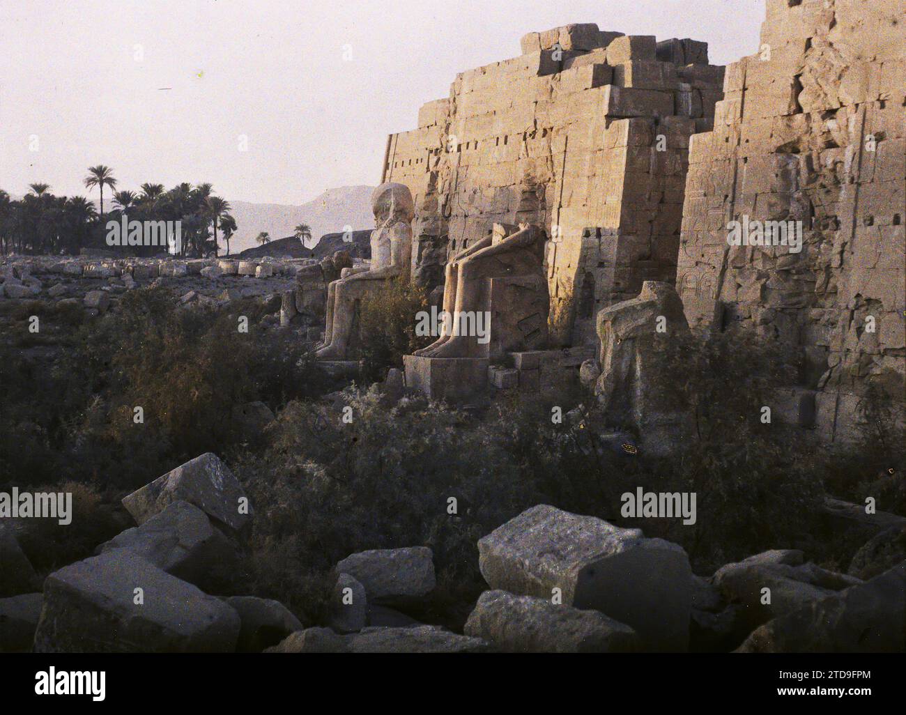 Karnak, Egypt, Africa VIIIth pylon of the temple of Amon Râ, Habitat ...