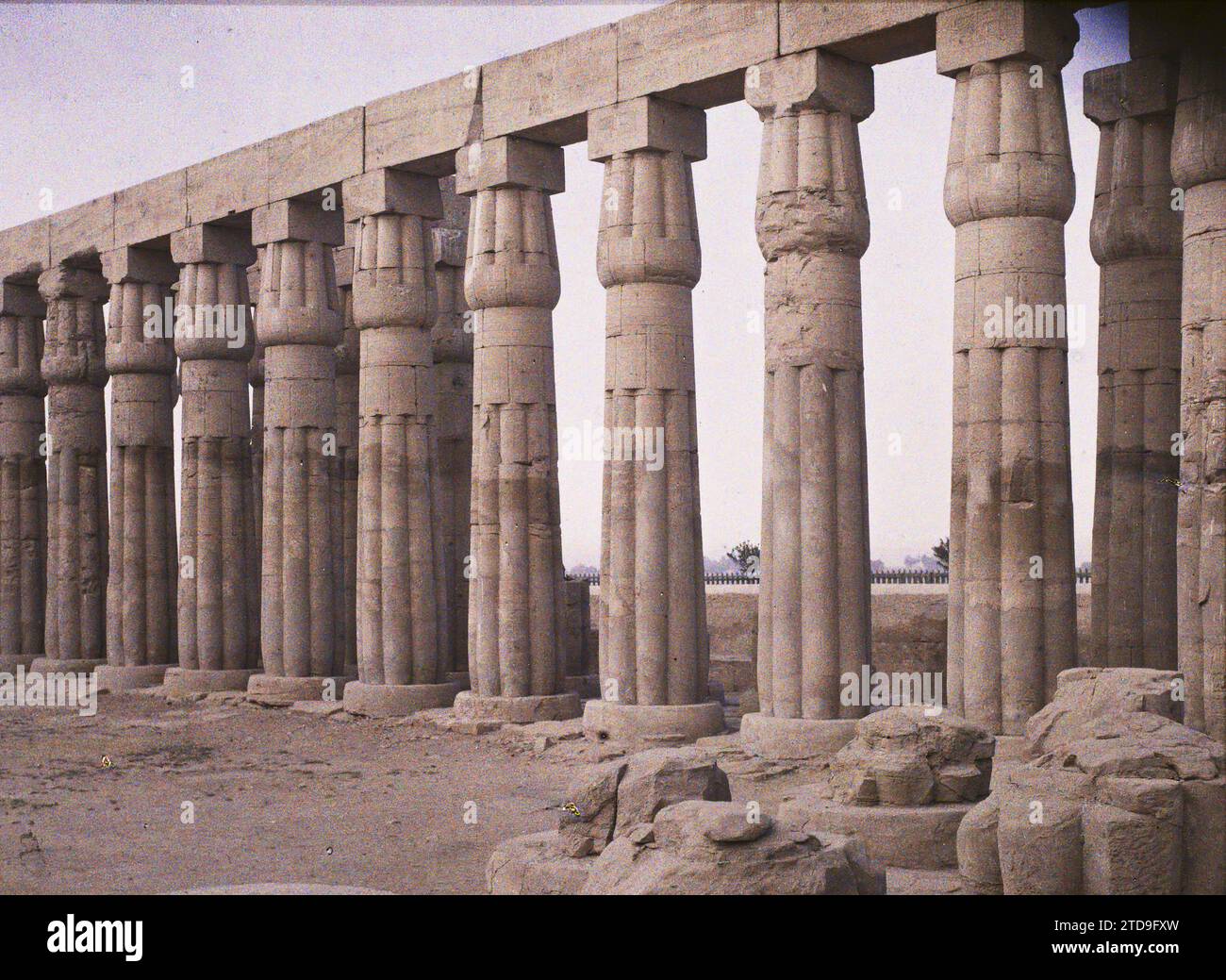 Louqsor, Egypt, Africa Colonnade of the court of Amenophis III, Habitat ...