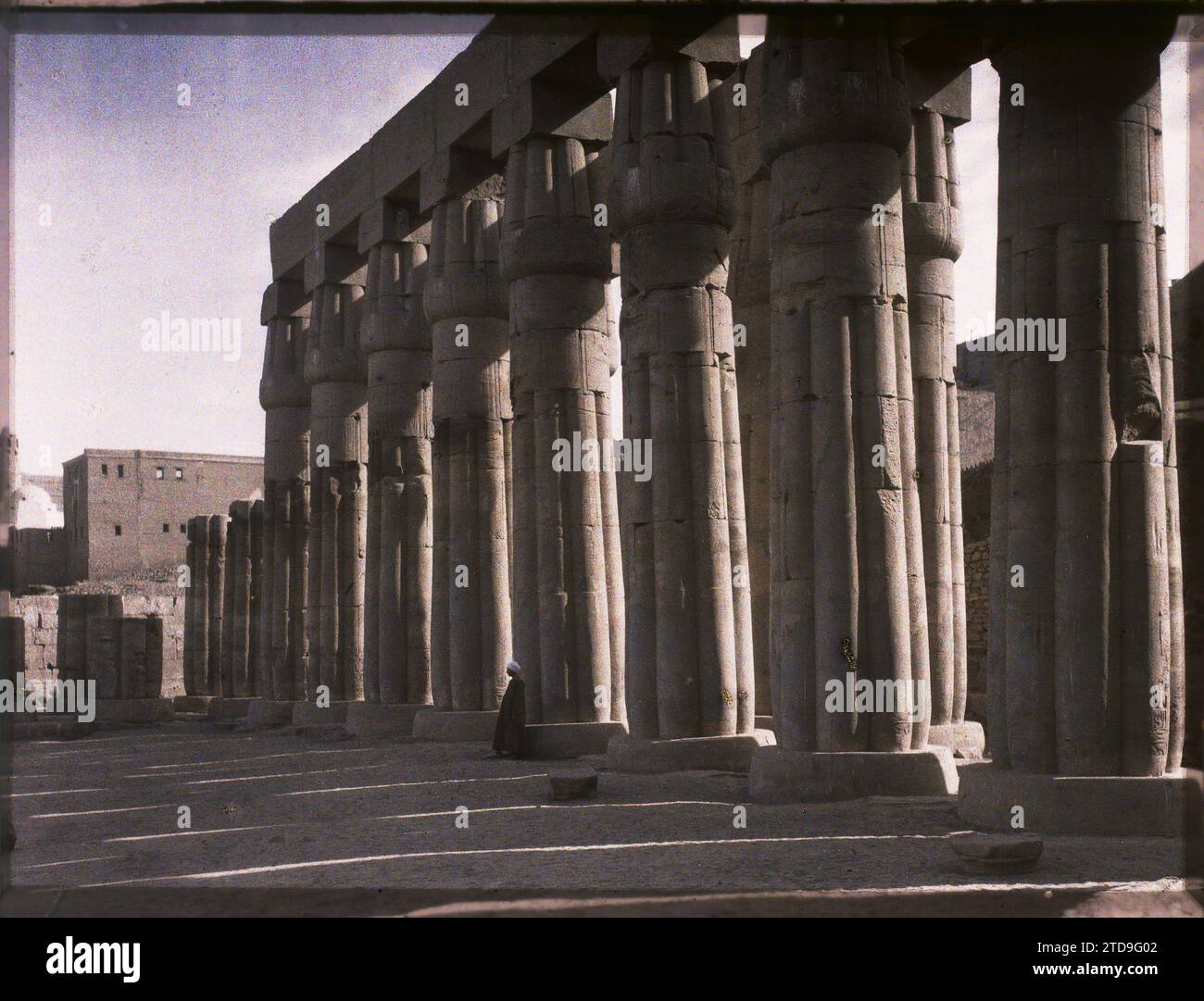 Louqsor, Egypt, Africa Colonnade of the court of Amenophis III, Habitat ...