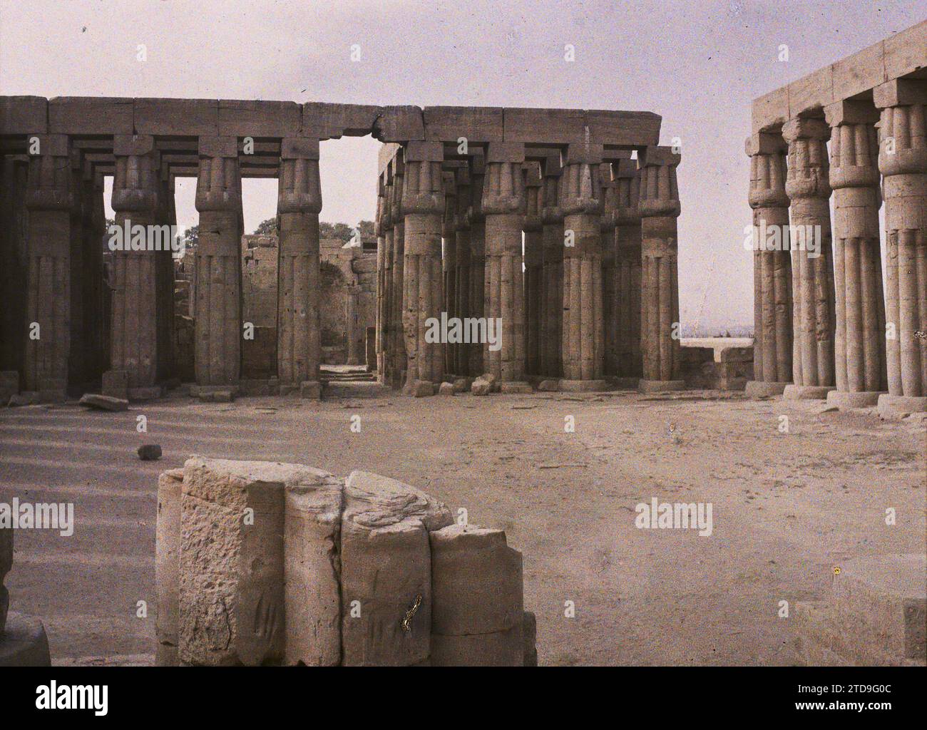 Louqsor, Egypt, Africa Solar Court of Amenophis III, Habitat ...