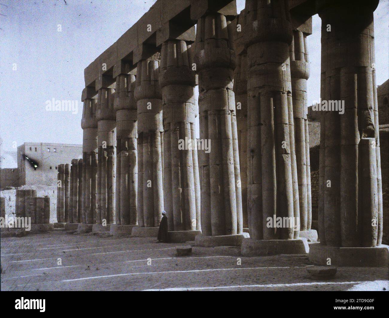 Amenophis iii louxor egypte hi-res stock photography and images - Alamy