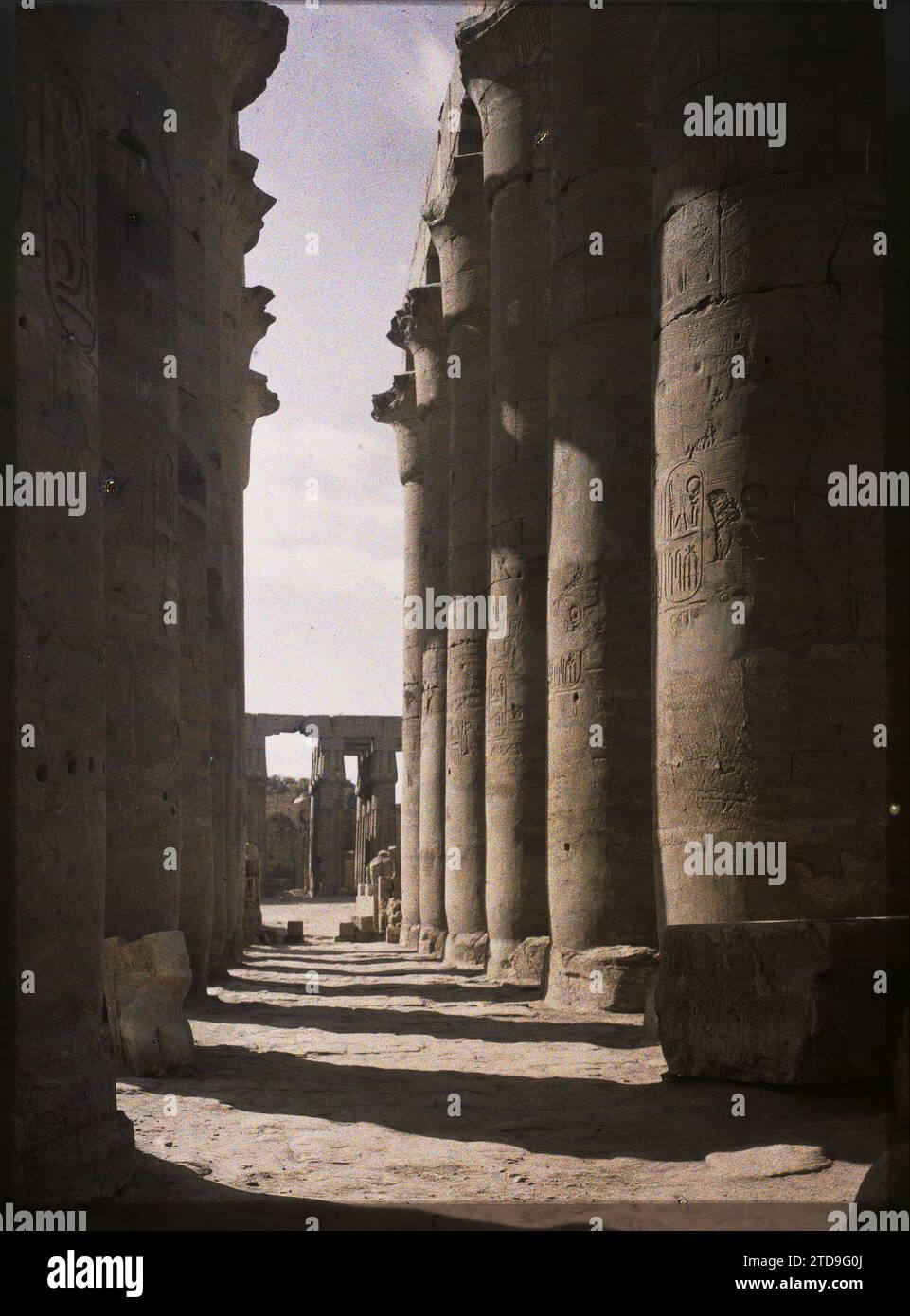 Louqsor, Egypt, Africa Colonnade of Amenophis III, Habitat ...