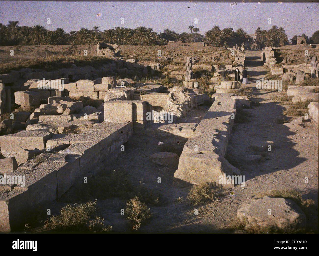 Karnak, Egypt, Africa Ruins of the temple of Mut, Habitat, Architecture ...