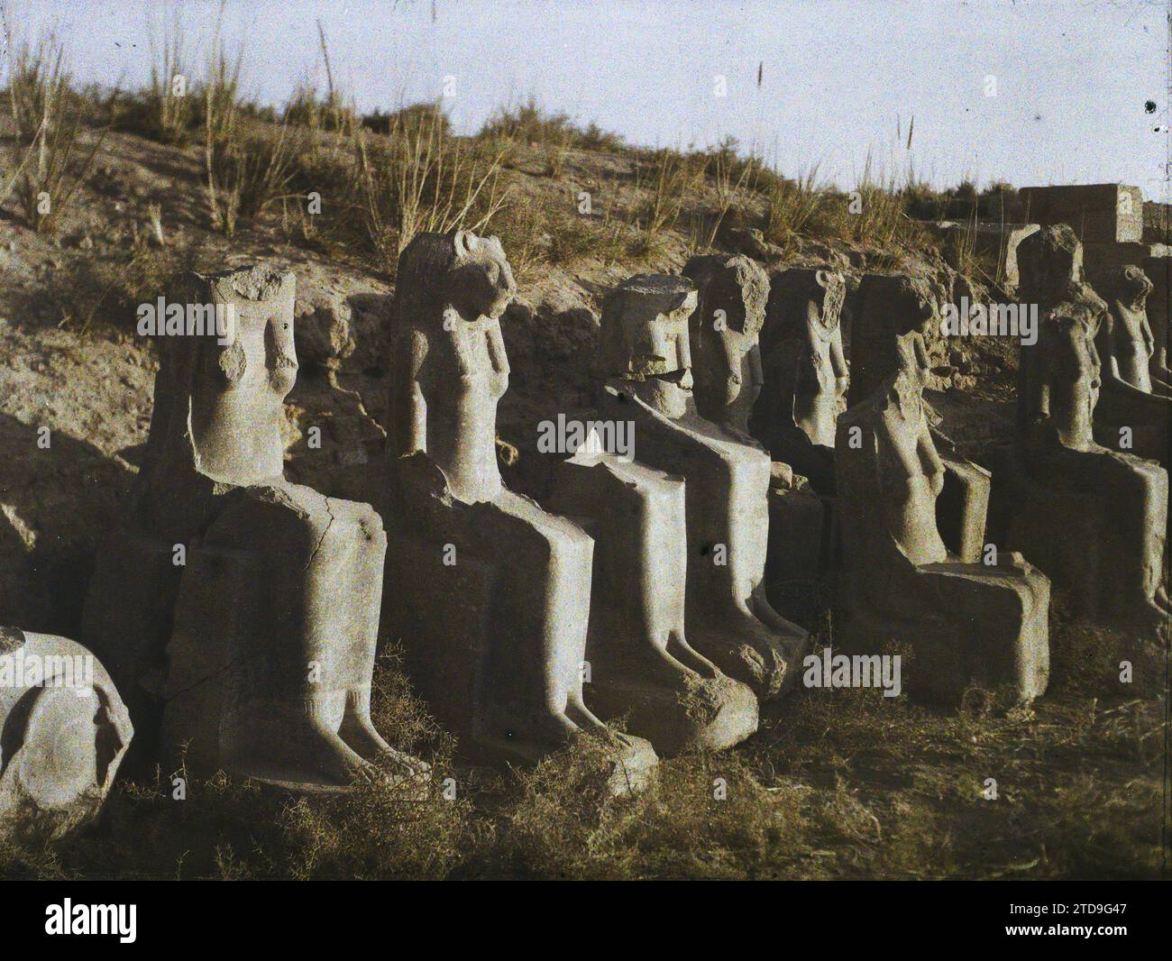 Karnak, Egypt, Africa Several statues of the goddess Sekhmet, Animal ...