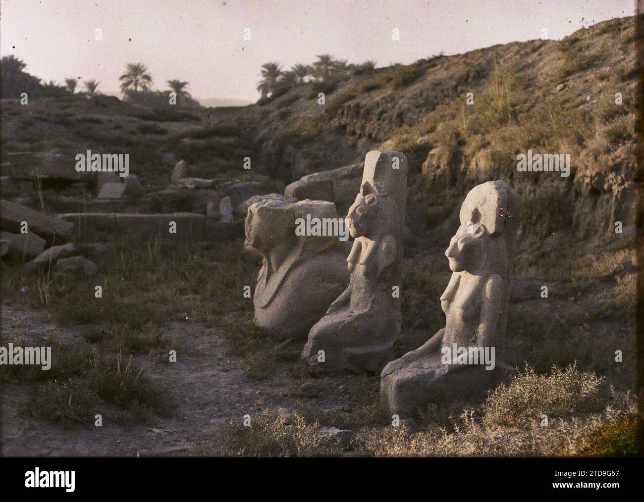 Karnak, Egypt, Africa Two statues of the goddess Sekhmet, Nature ...