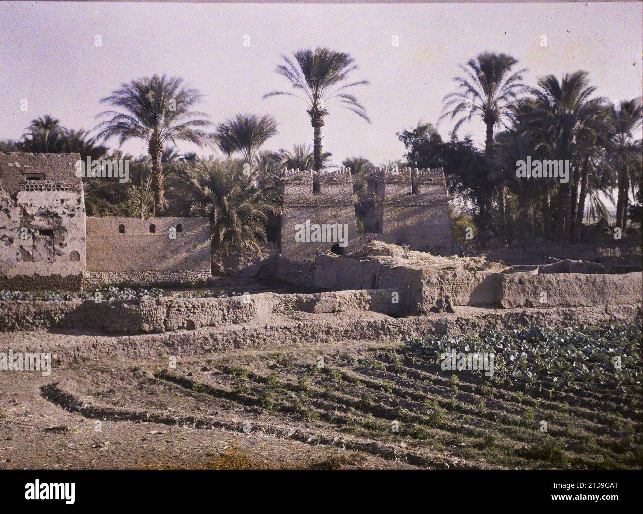 Agriculture breeding field rural architecture housing economic activity ...