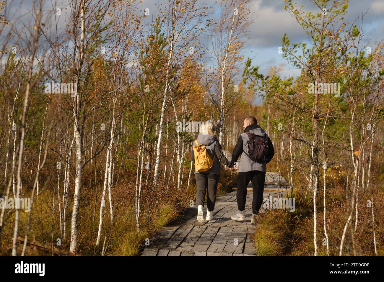 Two tourists walk along a wooden path in a swamp in Yelnya, Belarus ...