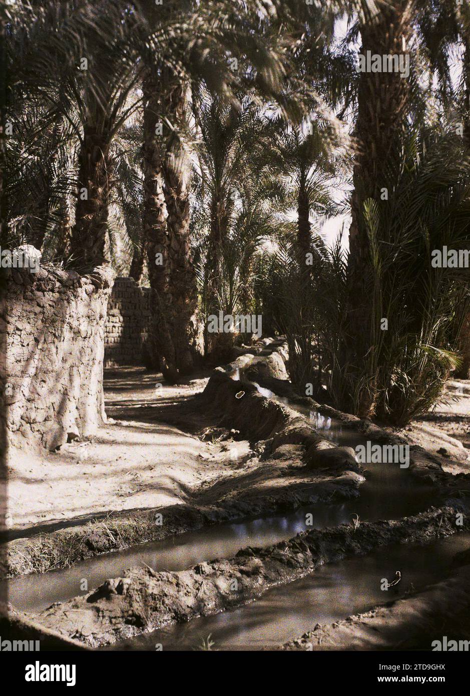 Aswan, Egypt, Africa Pipeline of a sakiéh in a village on the island of ...
