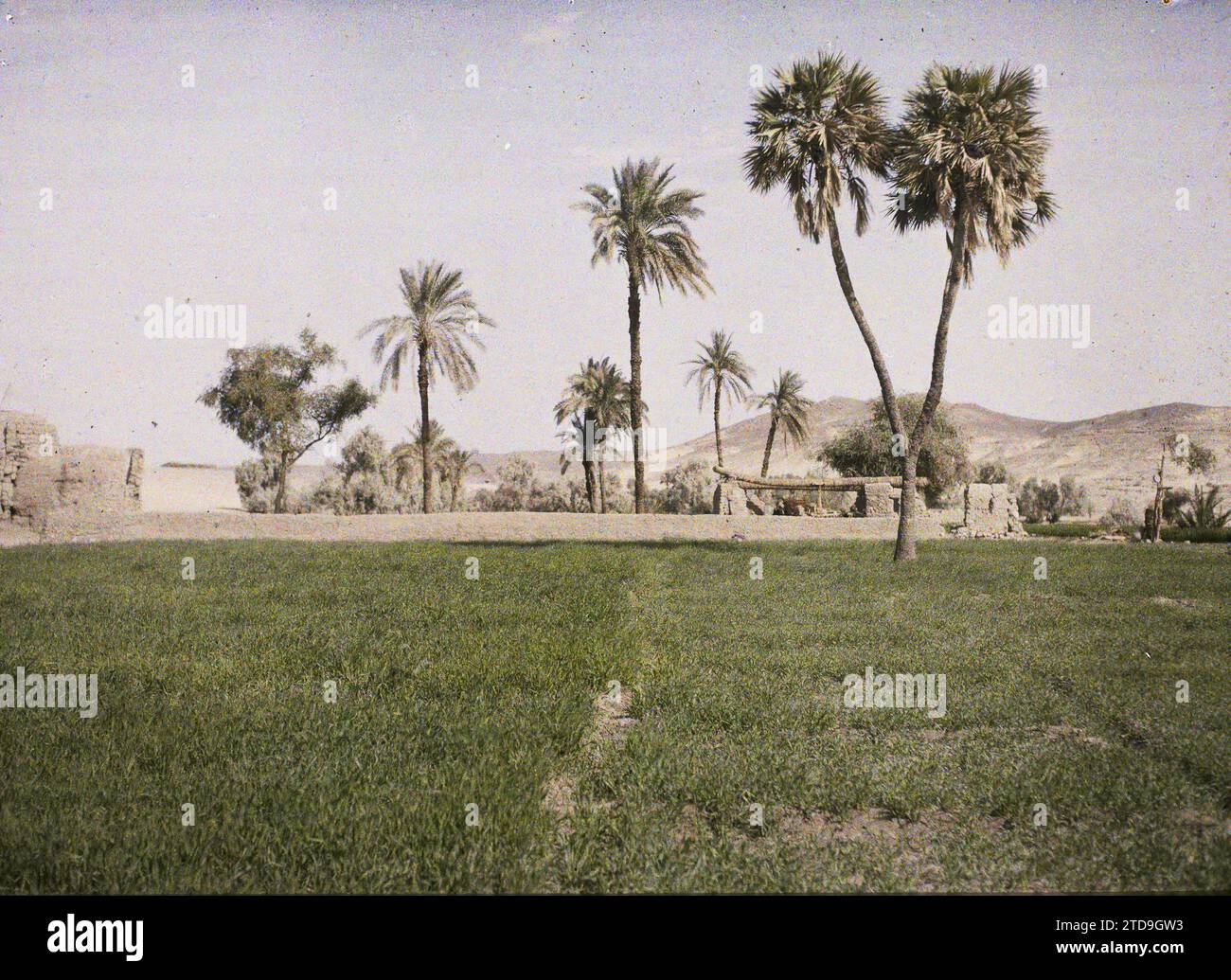 Aswan, Egypt, Africa Near a Nubian village, Nature, Environment ...