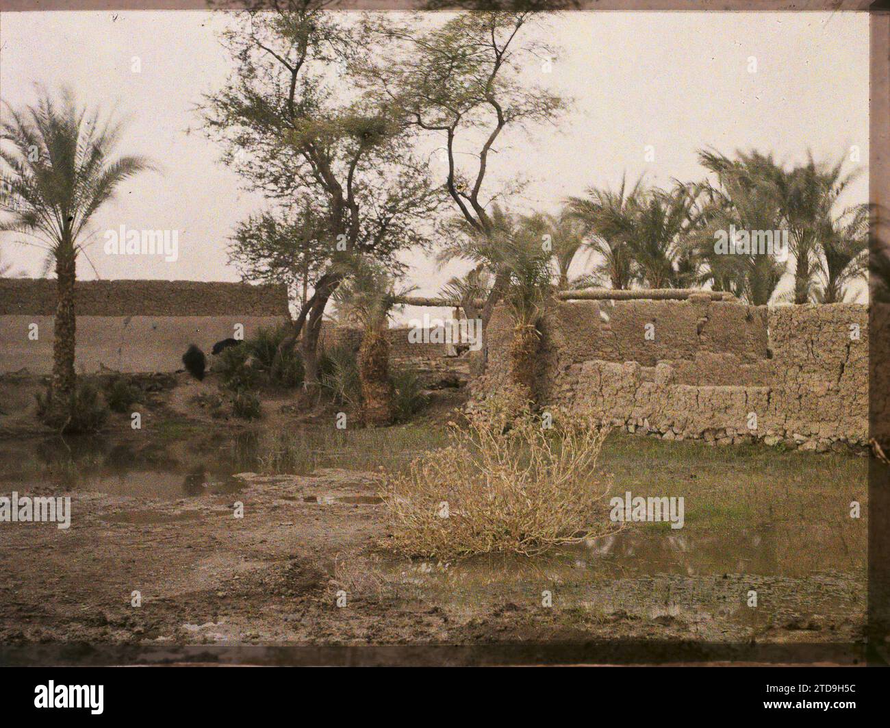Aswan, Egypt, Africa Entrance to a Sudanese village near the city ...