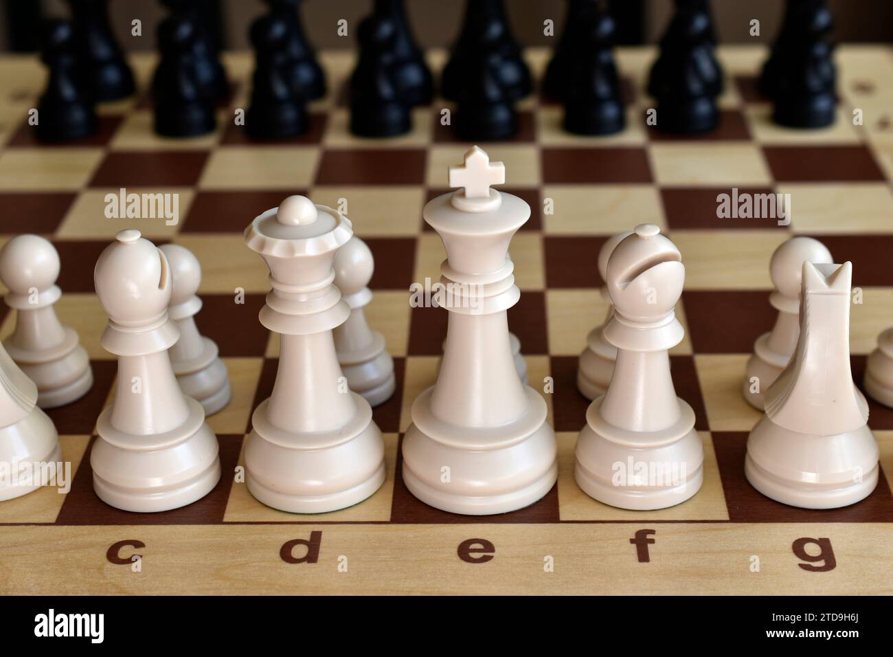 Beautiful chess pieces on the board. The chessboard. Chess competitions ...