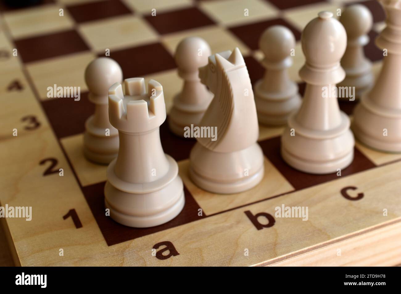 Beautiful chess pieces on the board. The chessboard. Chess competitions ...