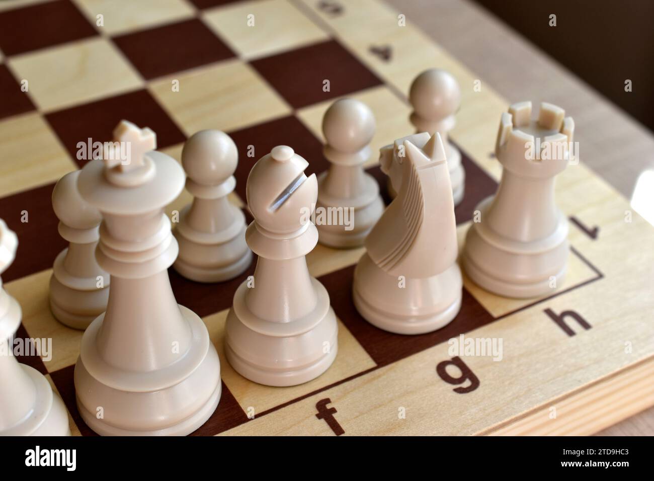 Beautiful chess pieces on the board. The chessboard. Chess competitions ...