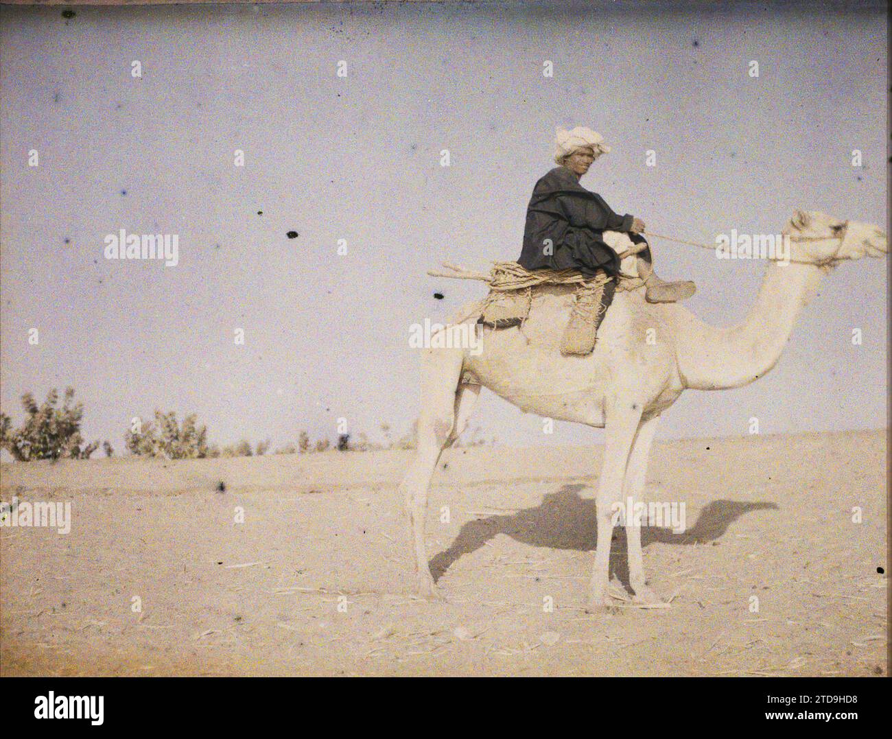 Kôm Ombo, Egypt, Africa Man on Camel, Transport, Animal, Clothing ...