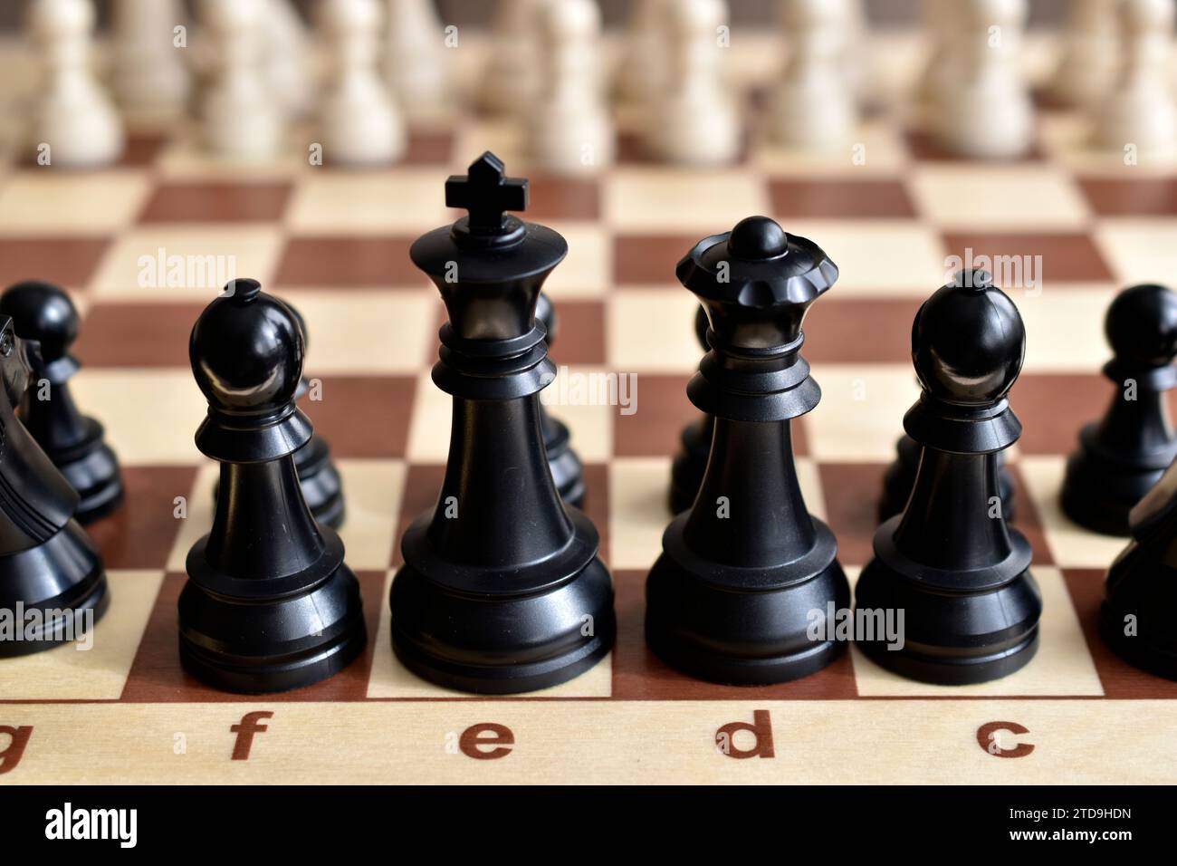 Beautiful chess pieces on the board. The chessboard. Chess competitions ...