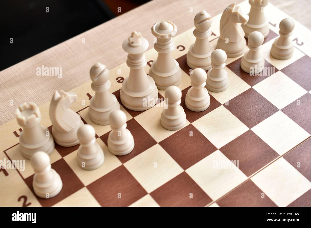 Beautiful chess pieces on the board. The chessboard. Chess competitions ...