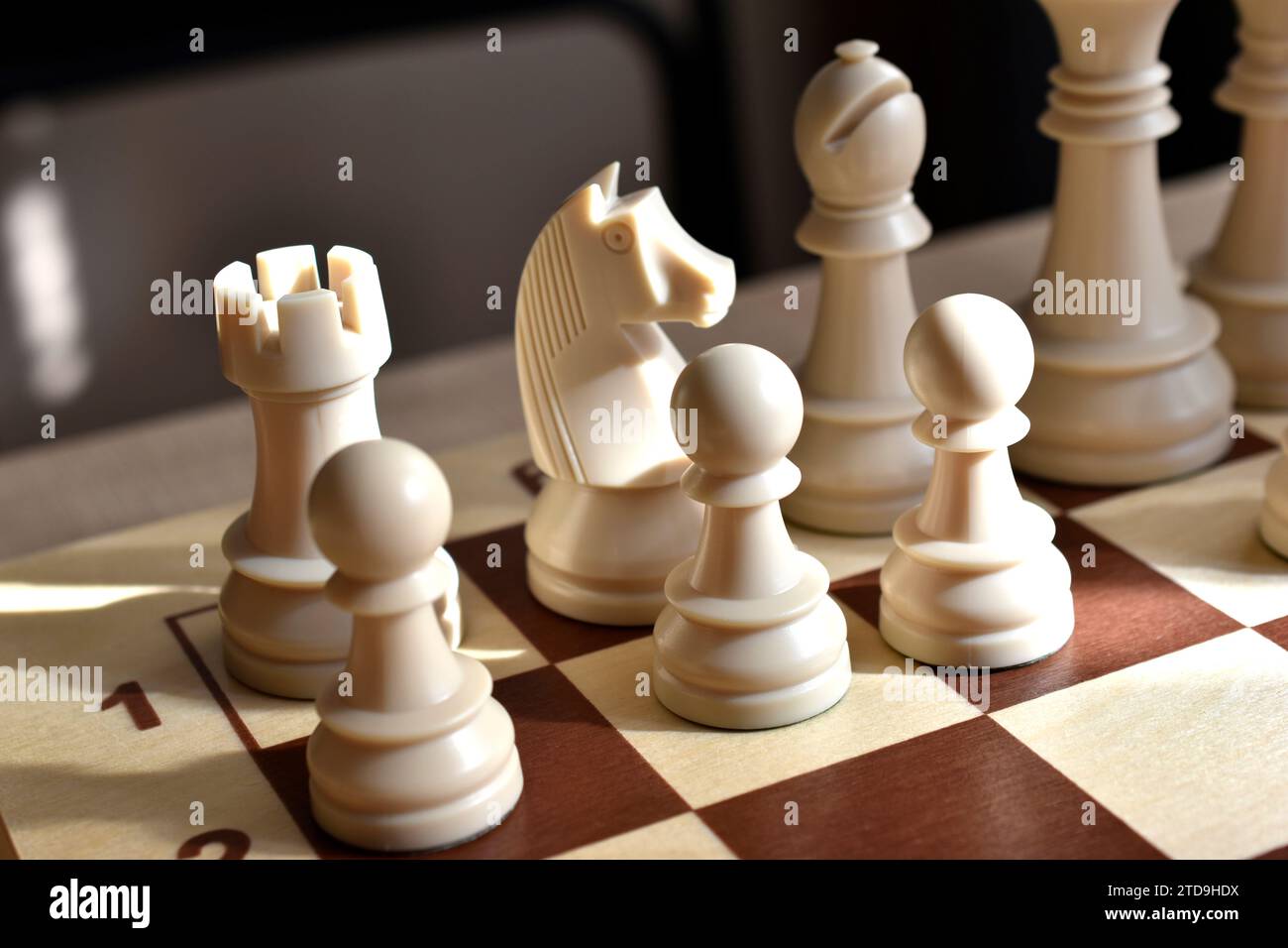 Beautiful chess pieces on the board. The chessboard. Chess competitions ...