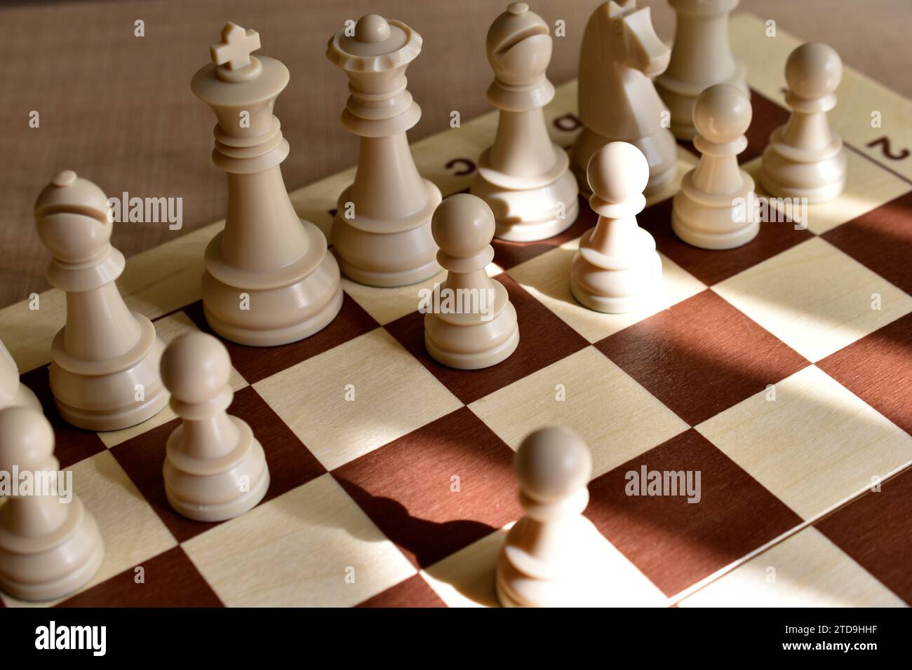 Beautiful chess pieces on the board. The chessboard. Chess competitions ...